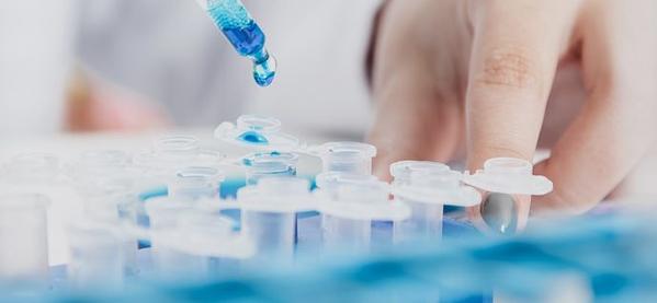 Premium Raw Materials Supplier | Essential Materials Inc.